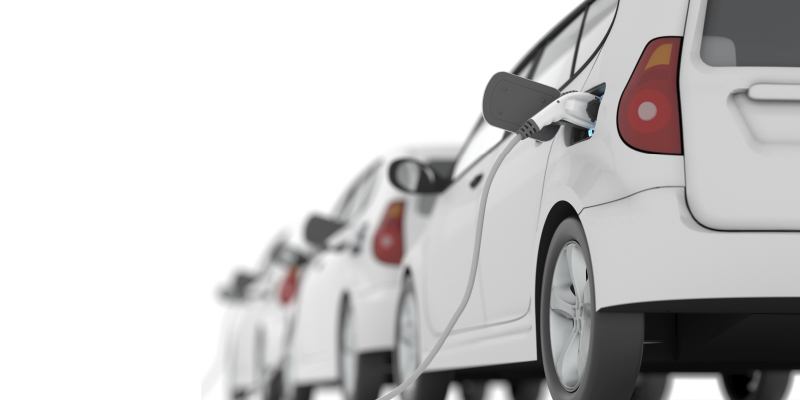 Leaseplan's start Electric Drive Day | New Zealand Company Vehicle